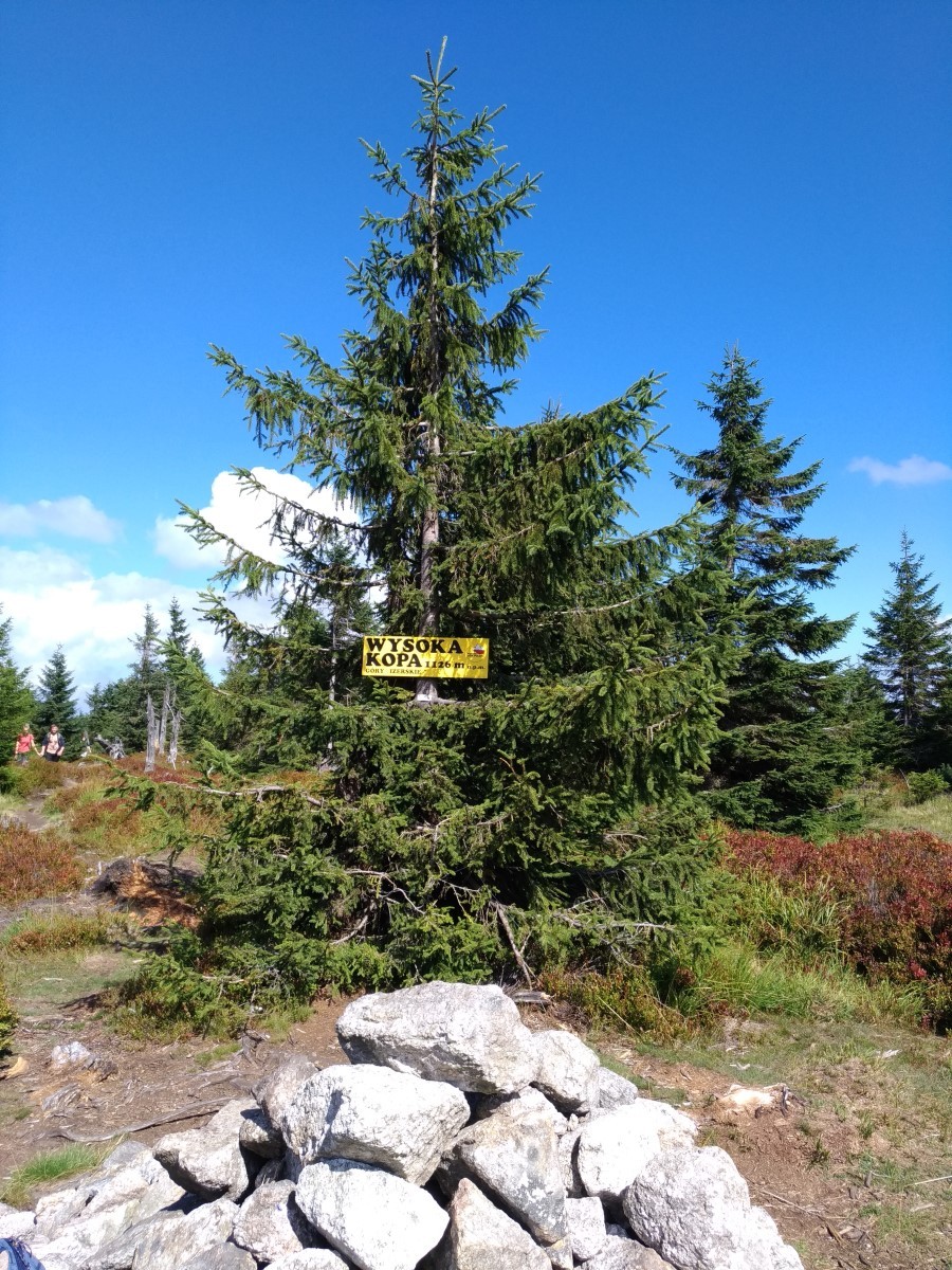 Wysoka Kopa - najwyższy szczyt Gór Izerskich - Blog turystyczny